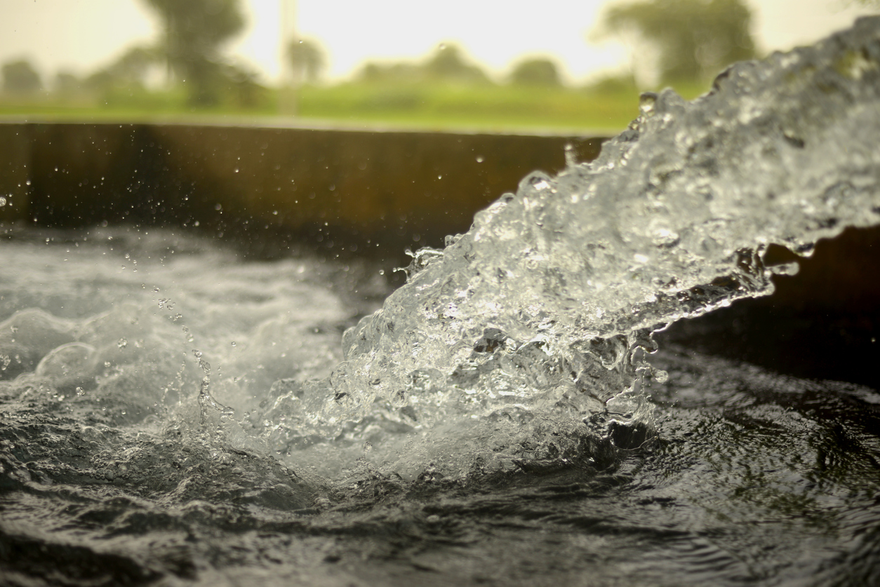 Cysts in Your Water - Should You Be Worried? | Water Filters | Get Culligan